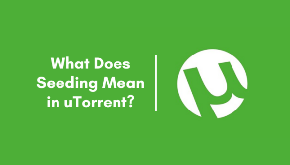 What Does Seeding Mean in uTorrent? How Does It Work?